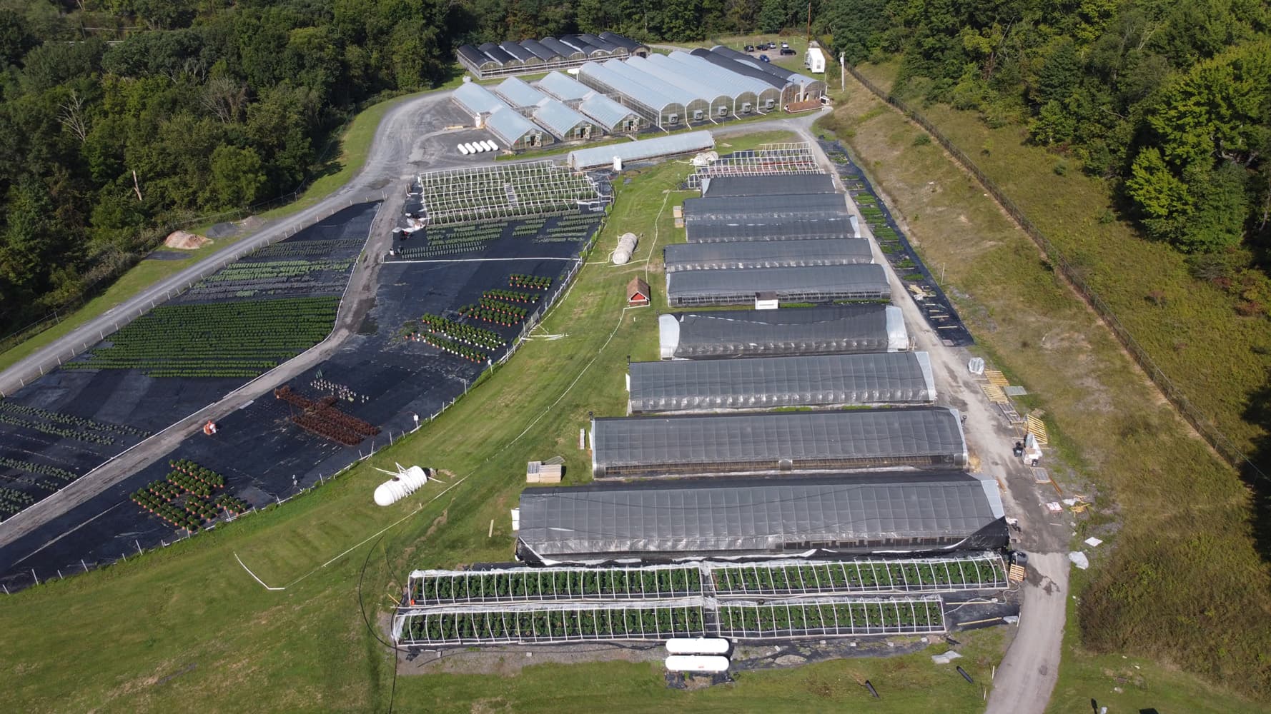 Growing from the Heart at Flowerhouse New York - Leaf Nation