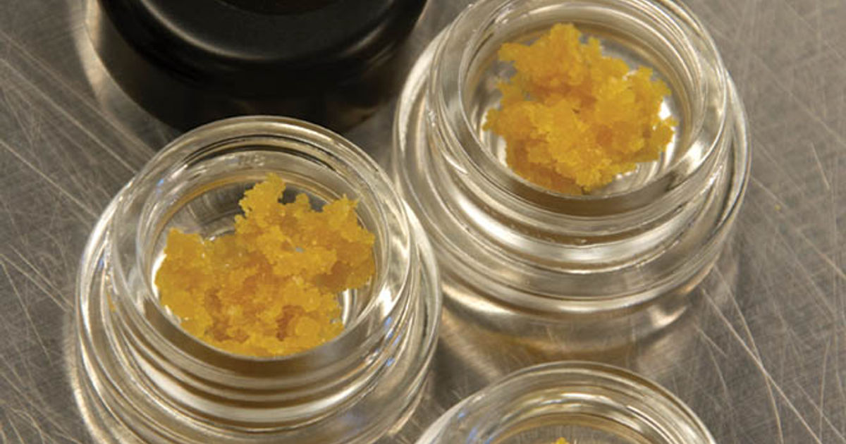 From Harvest to Hash: Alchemist Ventures - Leaf Nation