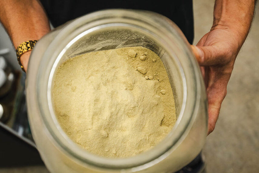 Harvest Special: Legacy Organics - Leaf Nation