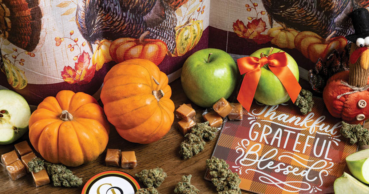 Candy Apple - Leaf Nation