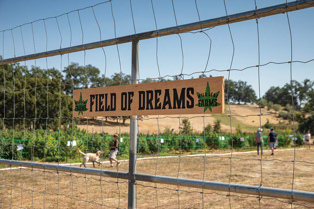 Harvest Special: Wild Leaf Farms - Leaf Nation
