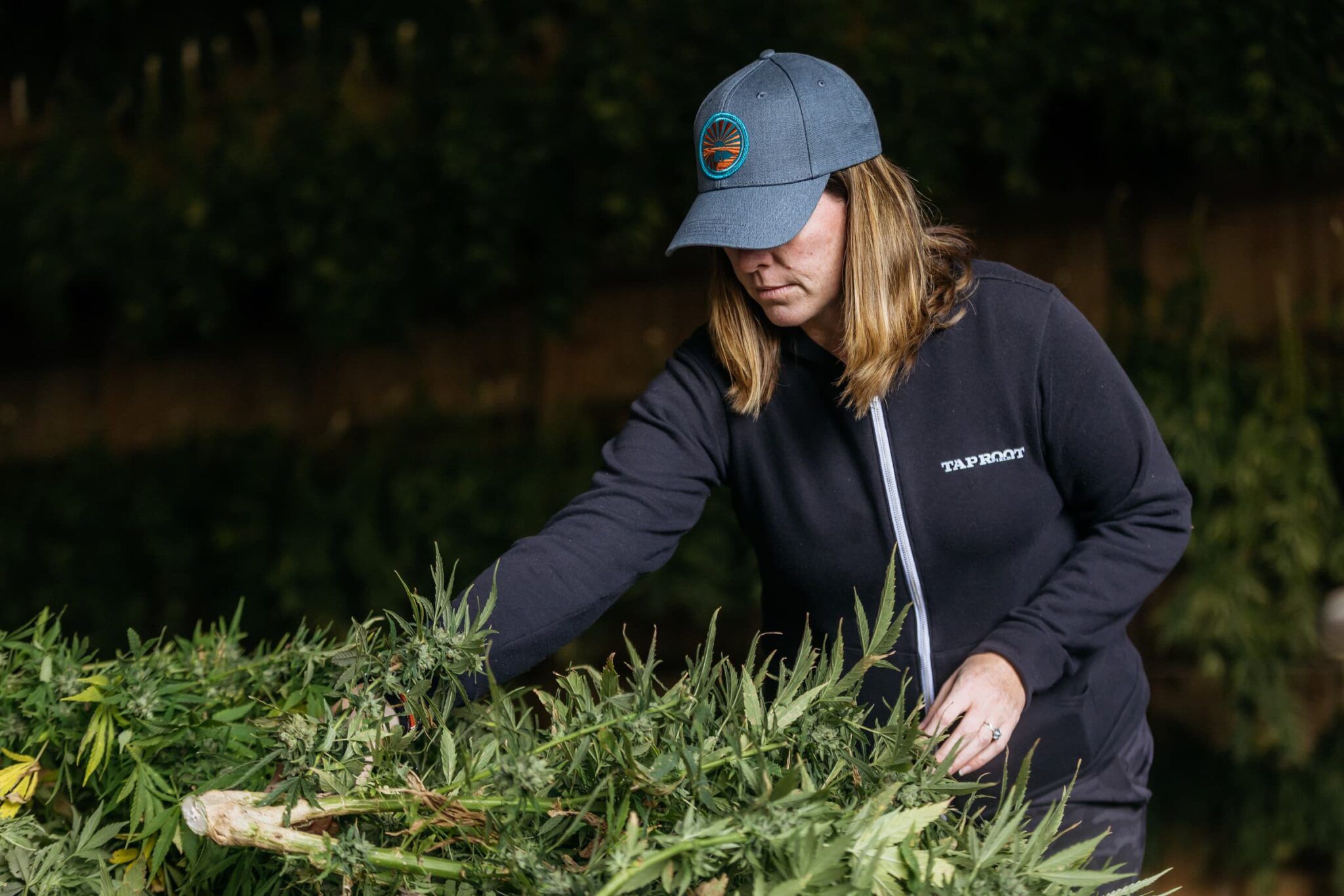 Harvesting at New York's Tap Root Fields - Leaf Nation