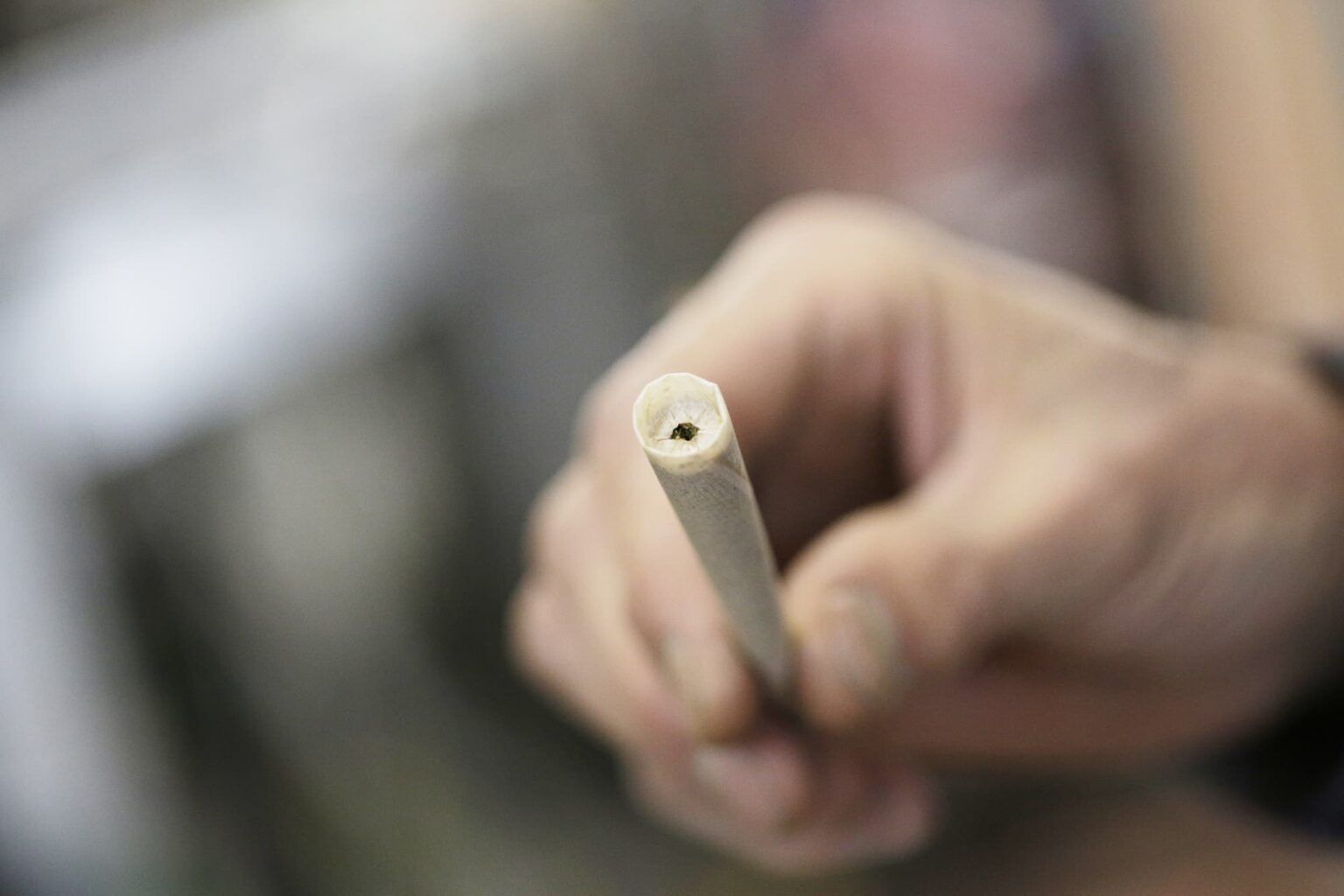 The Quest for the Perfect Preroll - PICC Joints - Leaf Nation