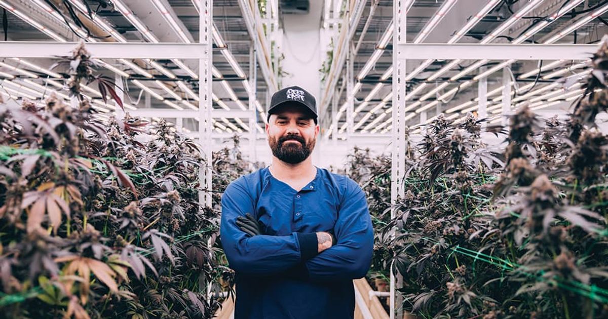 A Song of Flora & Flame - Leaf Nation