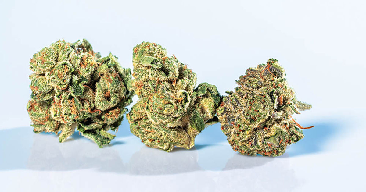 Watermelon Gelato - Leaf Nation