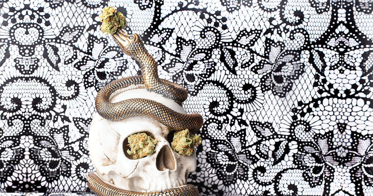 Bio Jesus - Leaf Nation