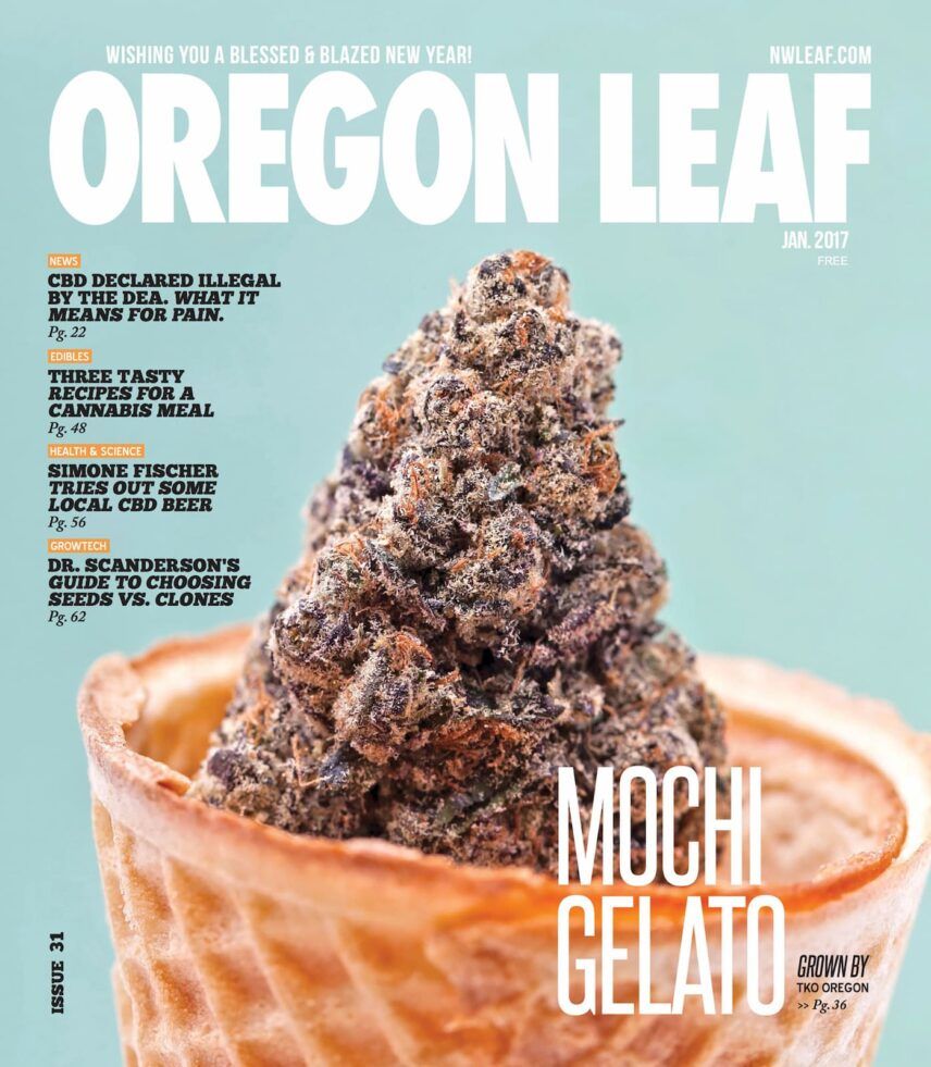 Celebrating 100 Issues of Oregon Leaf! - Leaf Nation