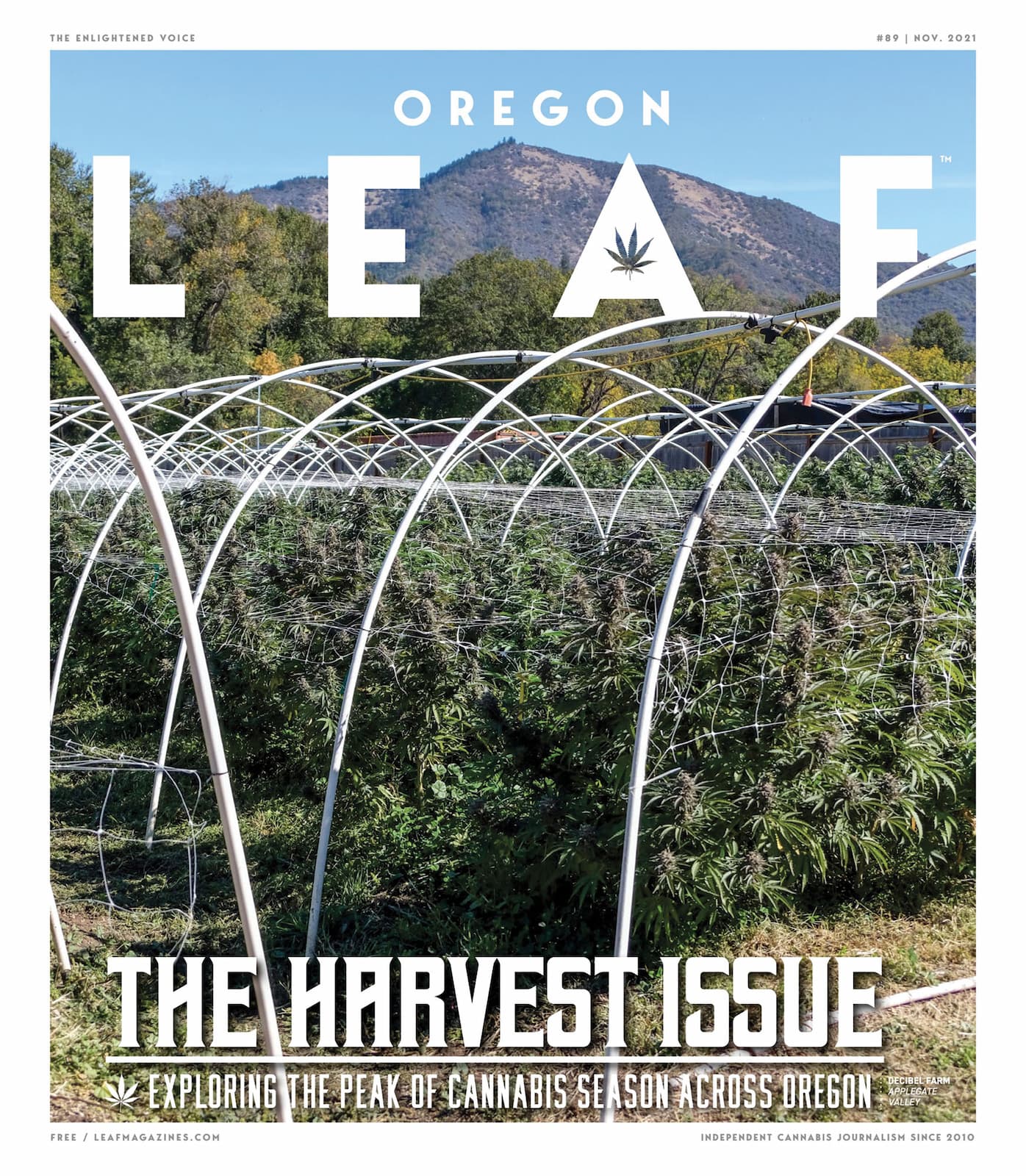 Celebrating 100 Issues of Oregon Leaf! - Leaf Nation