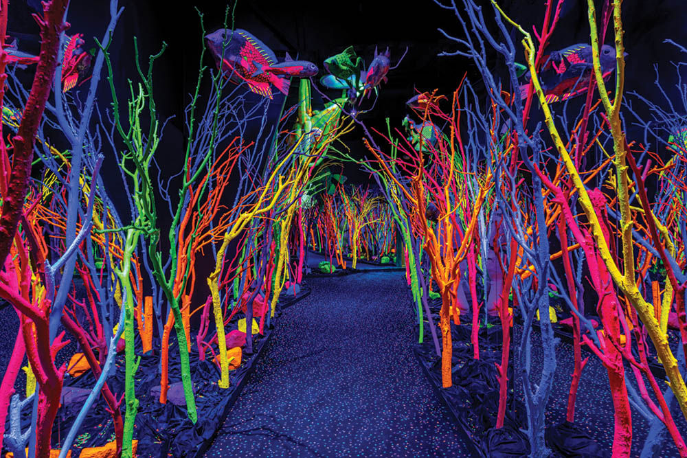 The Adventures of Meow Wolf - Leaf Nation