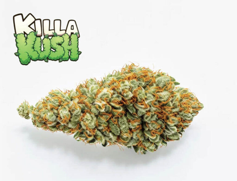 Blockchain Renaissance: WEB3’s NFTs Transforming Cannabis - Leaf Nation