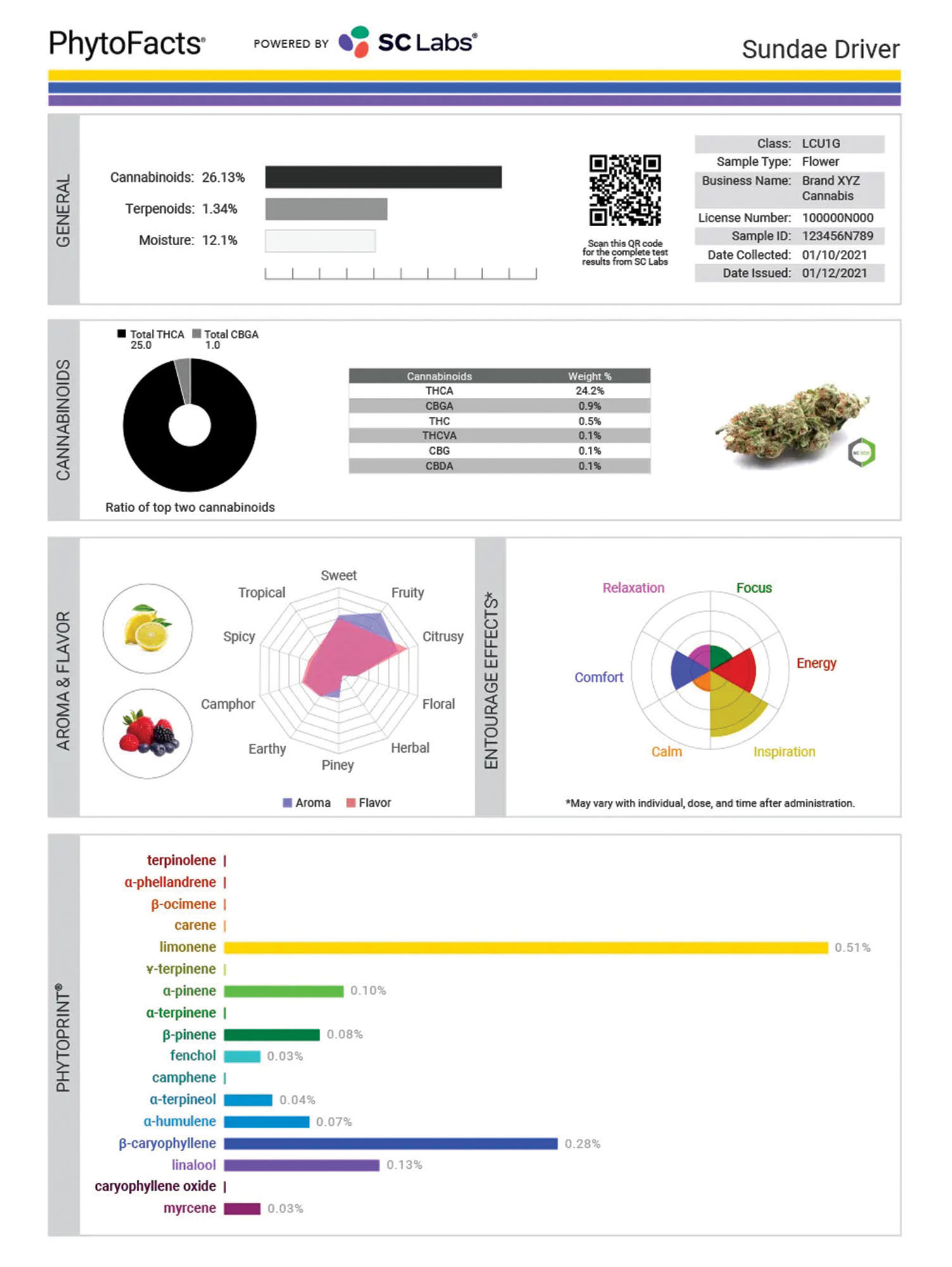 Terpenes Master Class with SC Labs - Leaf Nation