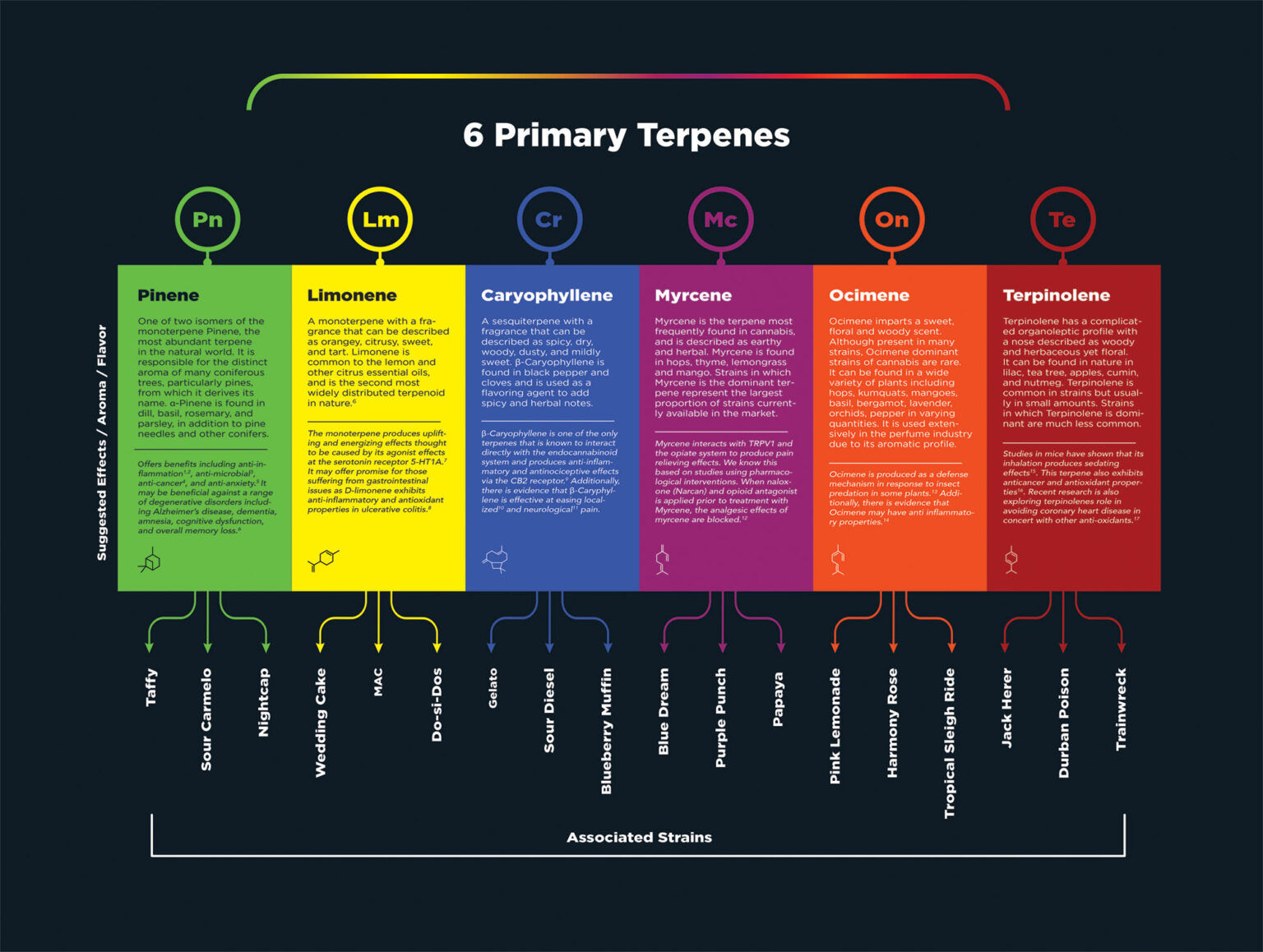 Terpenes Master Class with SC Labs - Leaf Nation