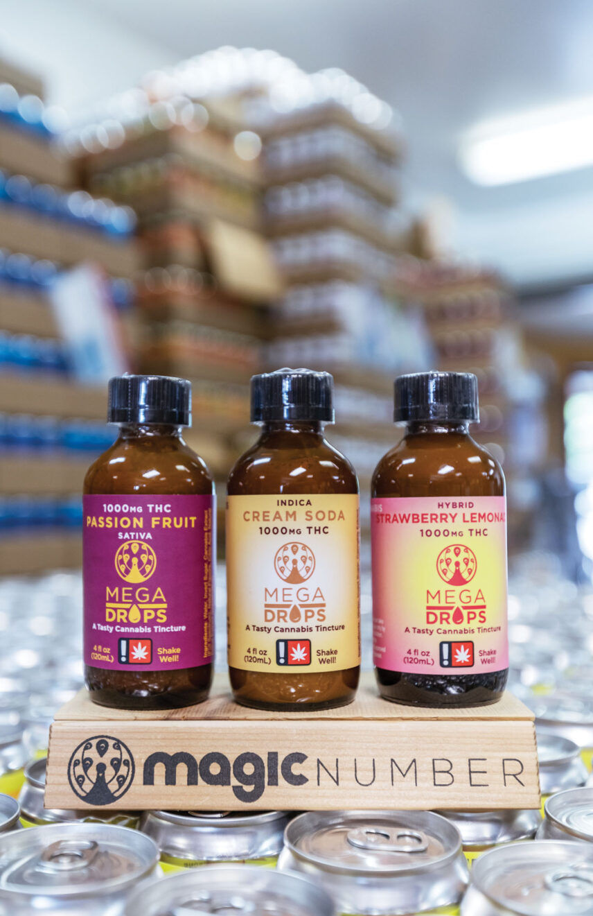 Jon Tapper and Alex Berger of Magic Number - Leaf Nation