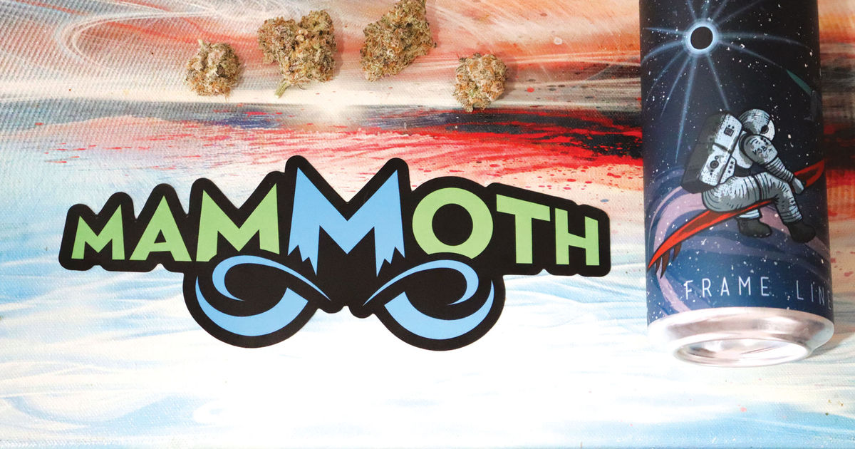 MAC1 Flower paired with Frame Lines IPA - Leaf Nation