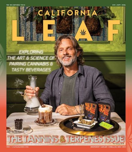 Northeast Leaf - Leaf Nation